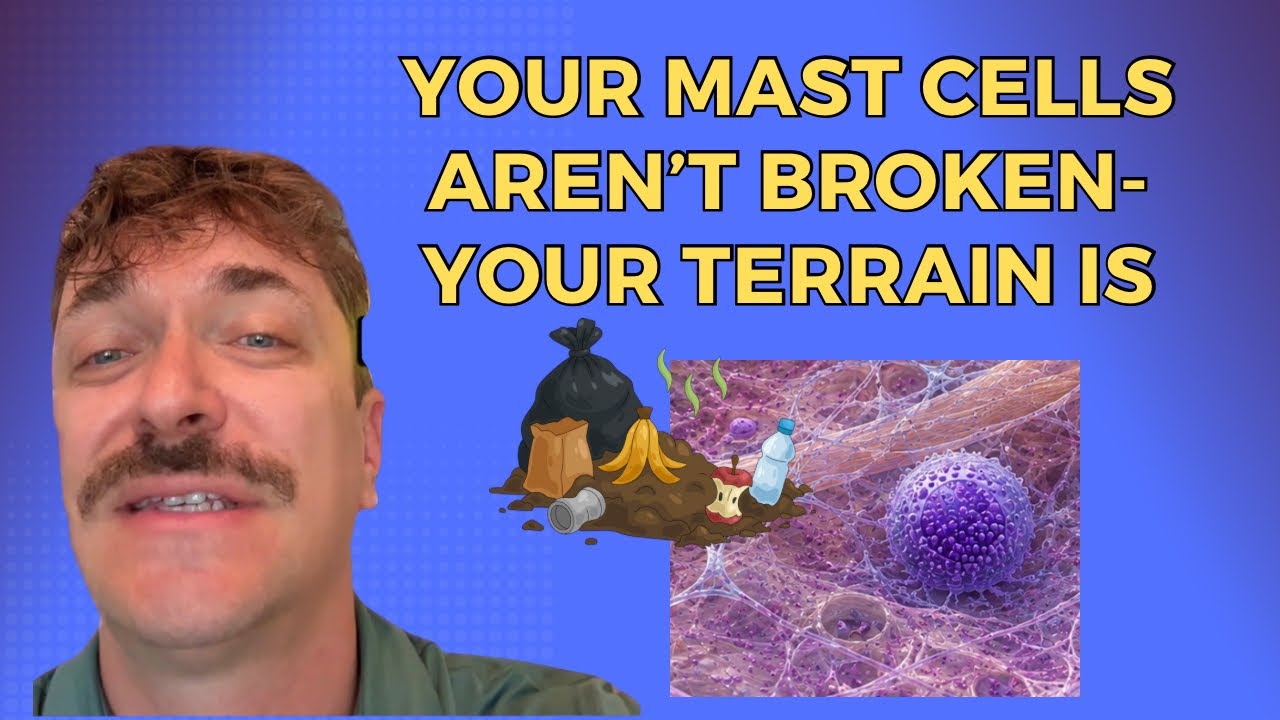 MCAS Is Not a Mast Cell Problem. It’s a Terrain Problem