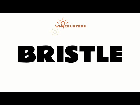 BRISTLE (verb) Meaning, Pronunciation and Examples in Sentences | GRE GMAT LSAT SAT ESL TOEIC