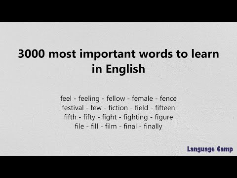 《981 - 1000》3000 most important words to learn in English with sentences and IPA pronunciation