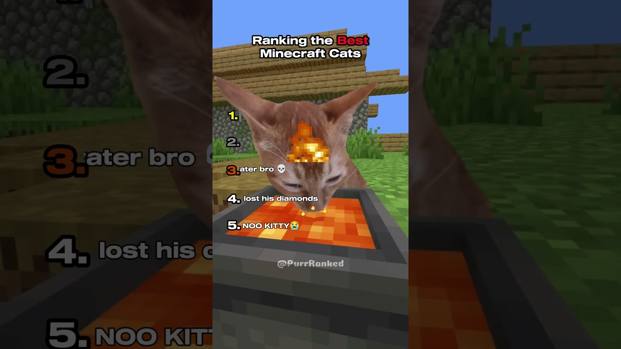 Ranking the Best Minecraft Cats 🐱#shorts