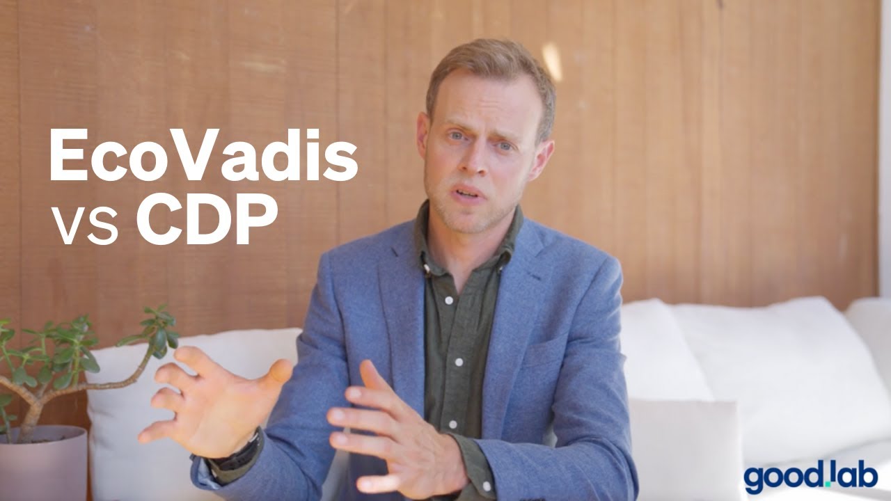 EcoVadis vs. CDP: Which One is Right For Your Business?