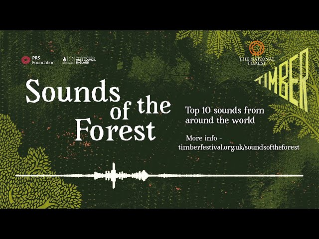 Mapa interactivo para escuchar los sonidos de los bosques del mundo ...