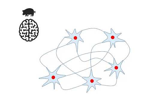 MATLAB skills, machine learning, sect 18: Overview of Neural Networks