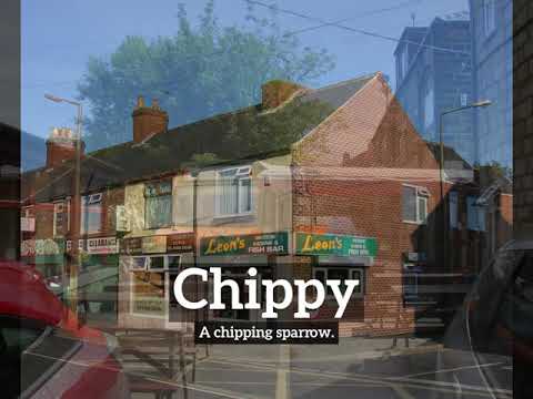 How Does Chippy Look? | What is Chippy? | How to Say Chippy in English?
