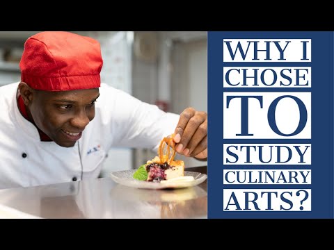 Where should you study culinary arts?