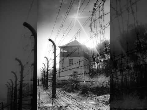 Buchenwald concentration camp | Wikipedia audio article