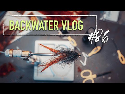MFC Barred Hackle Feathers MATERIAL SPOTLIGHT: BACKWATER VLOG #86