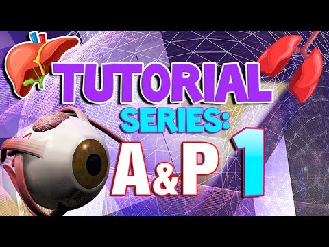 Anatomy & Physiology Tutorial Intro - terms, organ systems, feedback loops