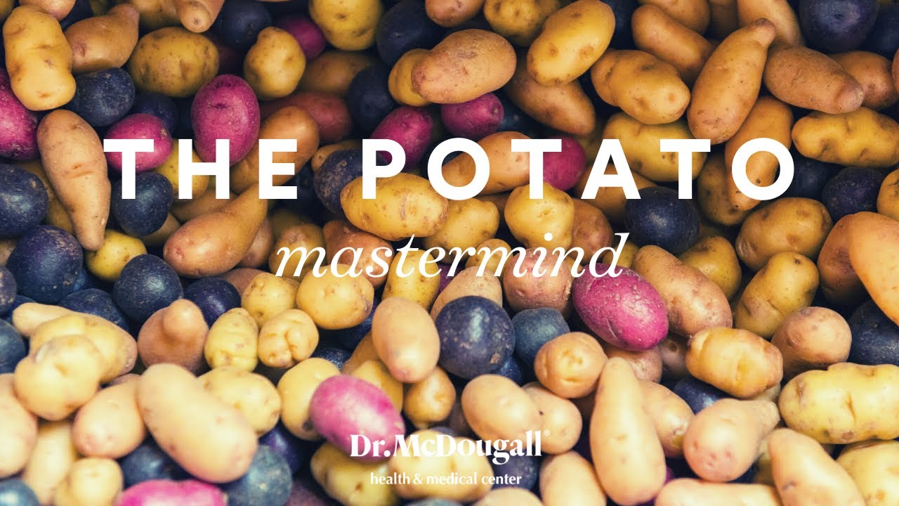 Potato Mastermind - Part 2