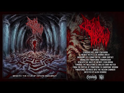 DRAIN OF IMPURITY - BENEATH THE MAZE OF INFINITE EQUILIBRIUM [OFFICIAL ALBUM STREAM] (2023) SW EXCL