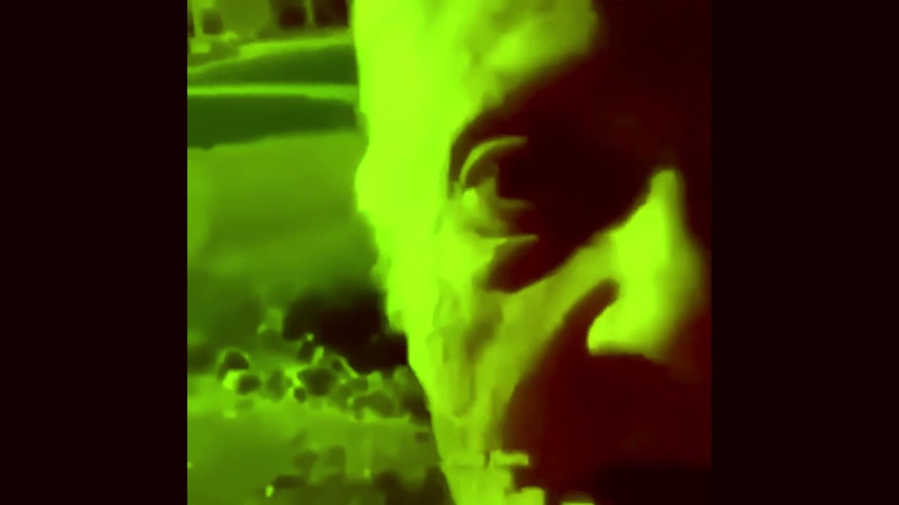 Hello there woo woo *ALIEN EARRAPE*