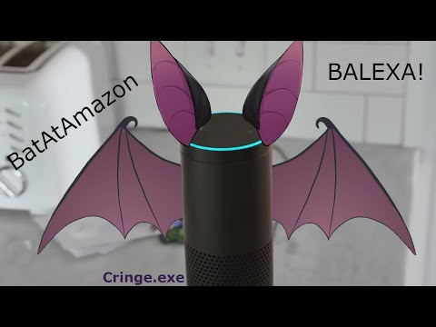 BatAtAmazonEcho