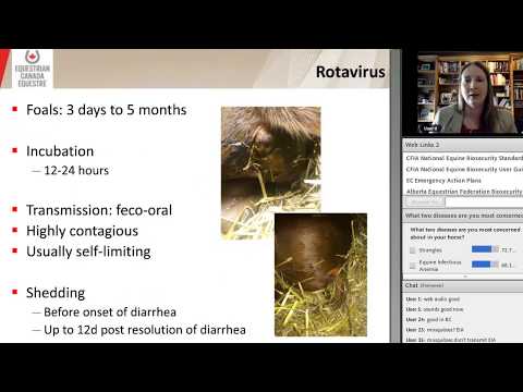 Owners and Facility Operators Biosecurity Webinar