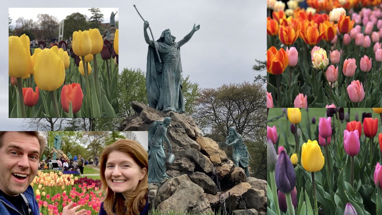 75th Annual Albany Tulip Festival Features Guster, American Authors ...