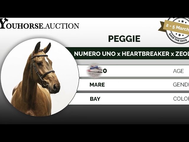 Youhorse.auction | Peggie