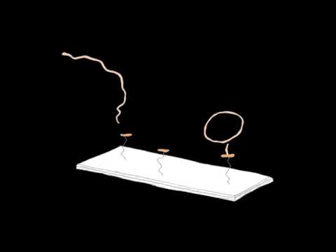 Building Better Nanodiscs | Harvard Medical School