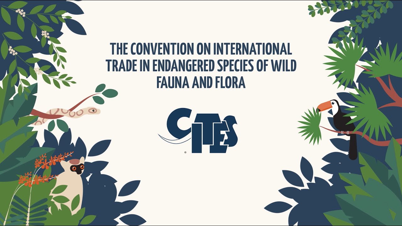 Introduction to CITES