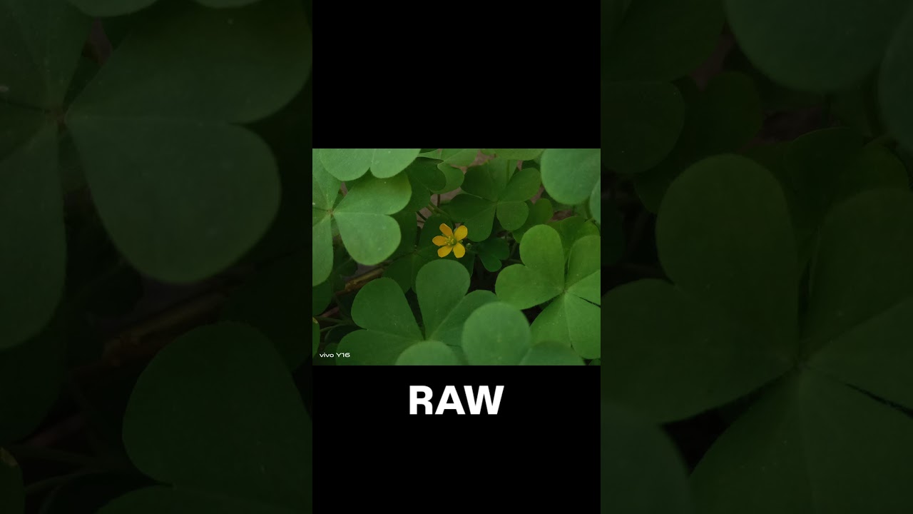 “Wait for the edit… 👀✨”#photoediting #beforeafter #ReelItFeelIt #editingmagic #photographyreels #100