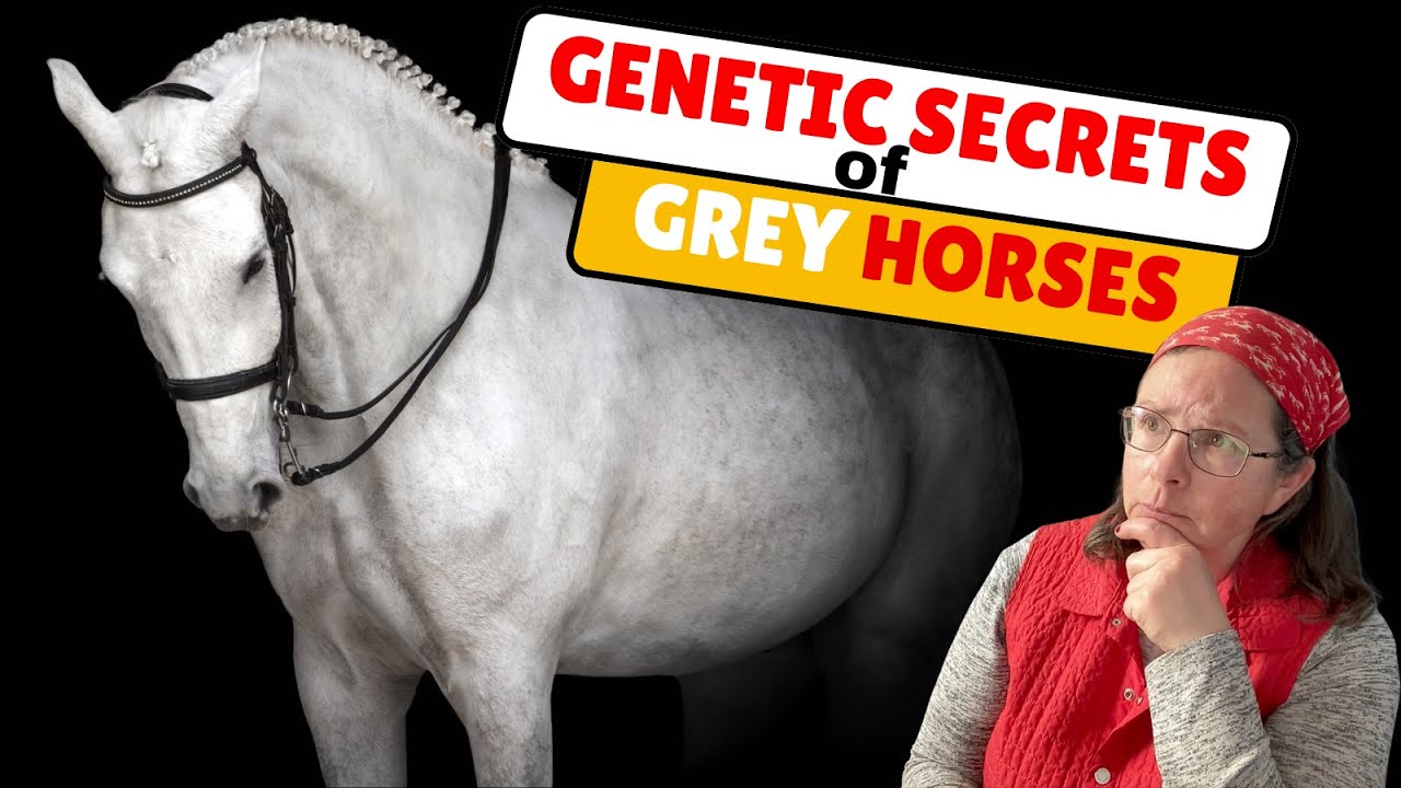 The surprising reason why SOME horses turn WHITE.