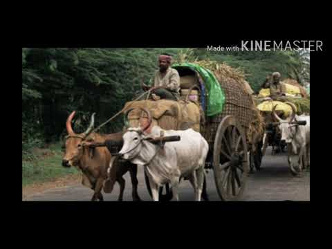 Class 7 History (Tribes nomads n settled communities ( PART 2)