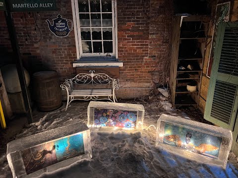 Frozen Frames: An Art Walk Through Downtown Kingston