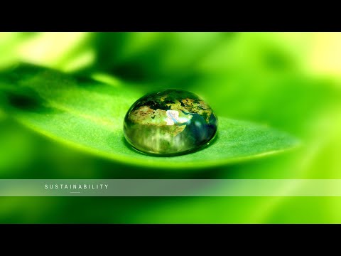 What Is Environmental Sustainability?