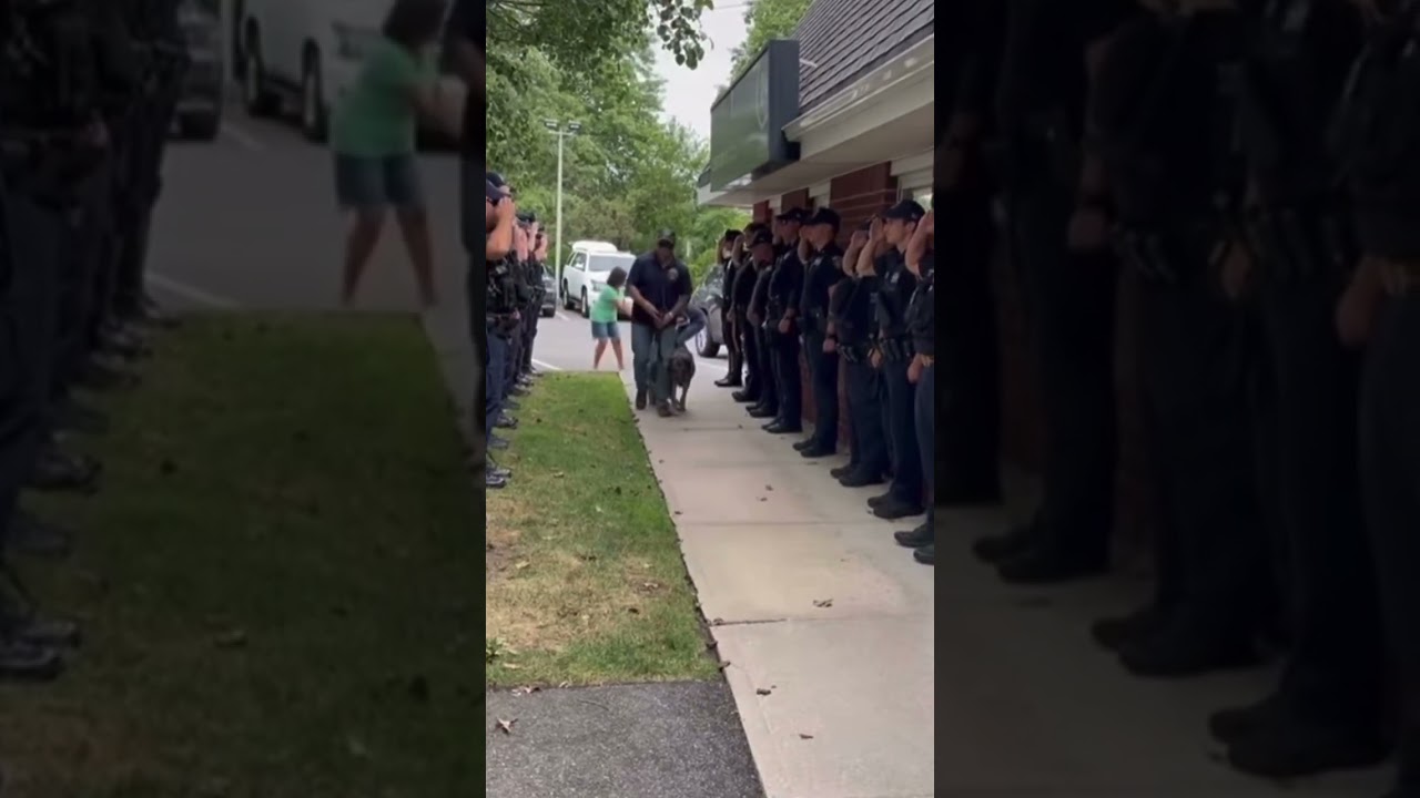 Hero K9 Bud: Final Walk