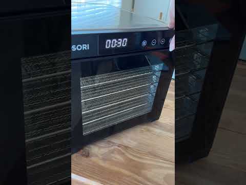 Cosori food dehydrator still worth the price 3 yeas later?