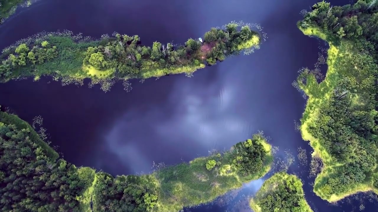 STX Commodities - Trader of Environmental Progress