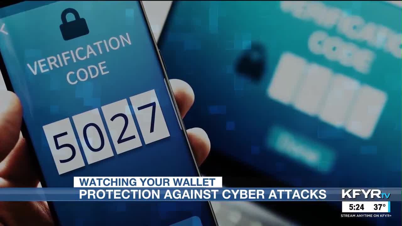 Watching Your Wallet: Cyberattack protection