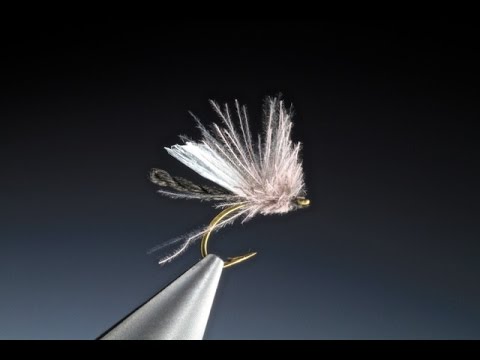 Extended body midge pattern