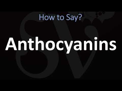 How to Pronounce Anthocyanins? (CORRECTLY)