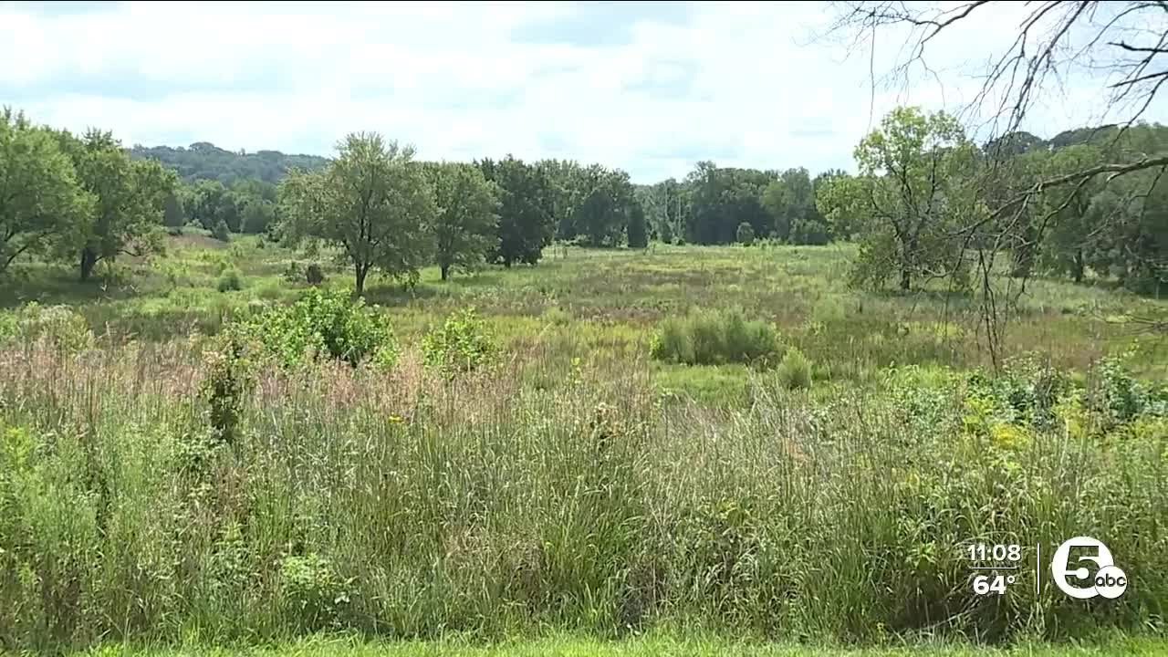 What it looks like when nature reclaims a golf course