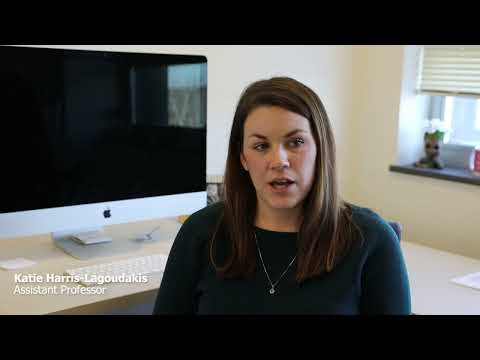 Katie Harris Lagoudakis, assistant professor of economics, Iowa State University