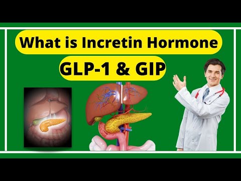 Incretin Hormones Explained – How They Help with Blood Sugar & Weight Loss! 💉