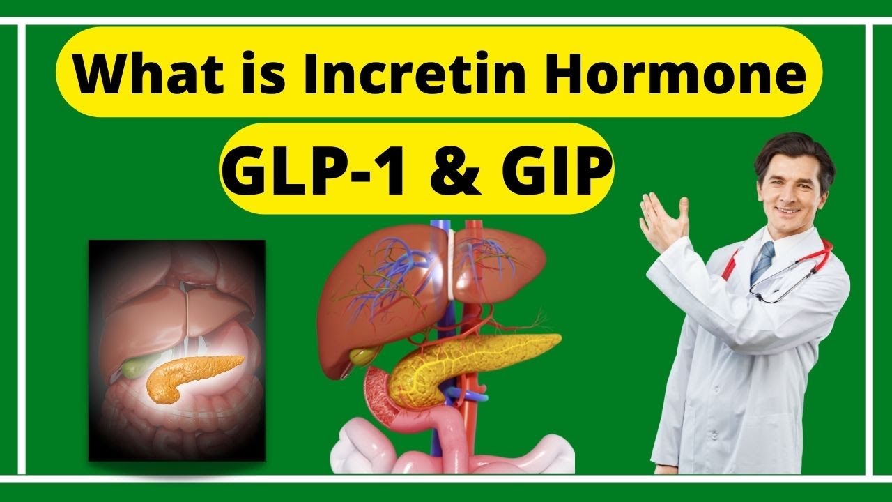 Incretin Hormones Explained: GLP and GIP