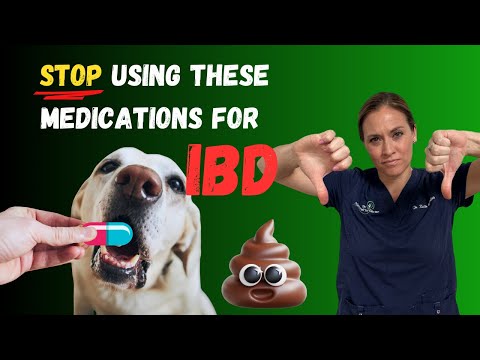 STOP Using These Medications for IBD - Here's Why! [Holistic Vet Advice]