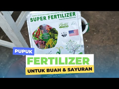 CARA MENGGUNAKAN PUPUK FERTILIZER UNTUK BUAH DAN SAYURAN IMPORT VIETNAM