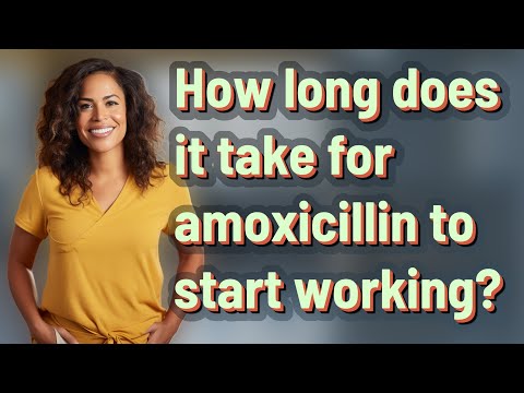 How long does it take for amoxicillin to start working?