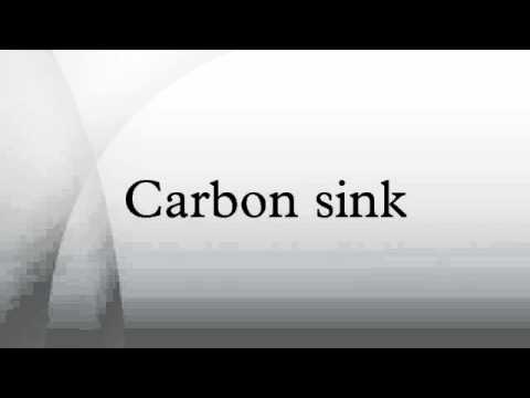 Carbon sink