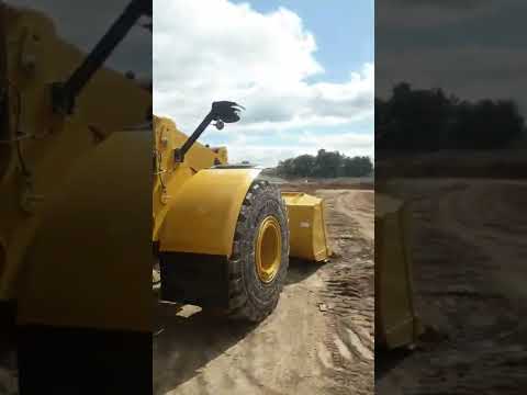 Cat Finning
