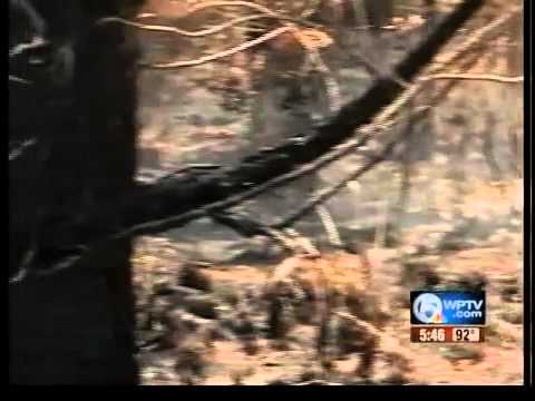Wildfire specialist talks about fire that claimed 2 lives