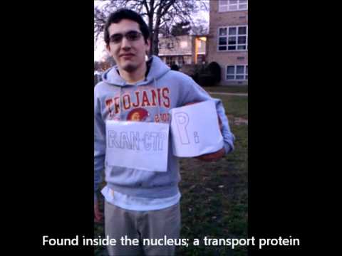 The "Greatest" Cell Biology Movie Of All Time