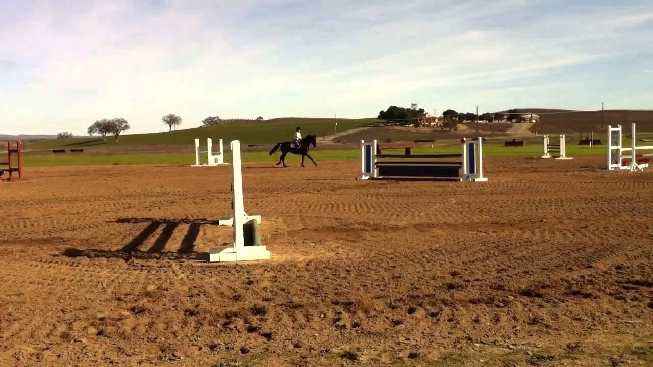 Kristin Cook at twin rivers show jumping 2