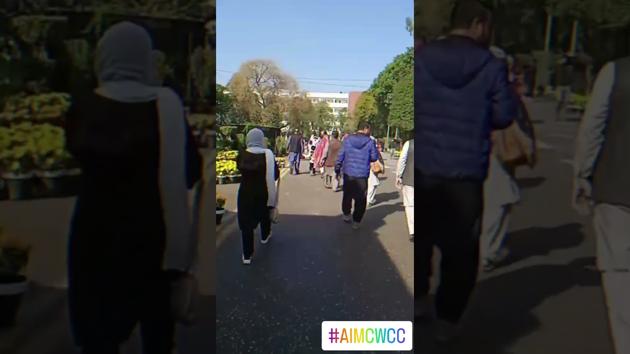 White Coat Ceremony AIMC'29🦅 Dream Journey Begins Here #entrytest #mdcat #aimc #medicalcollege