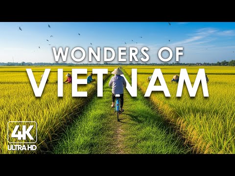 WONDERS OF VIETNAM | A Visual Journey Through 11 Iconic Cities & Provinces | Travel 4K