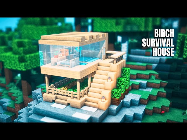 Birch House Minecraft Map