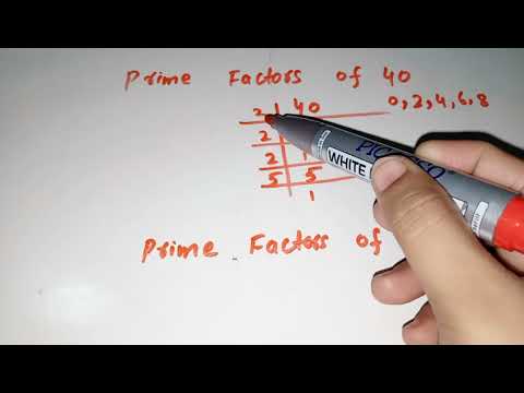 Prime Factors of 40- Prime Factorization
