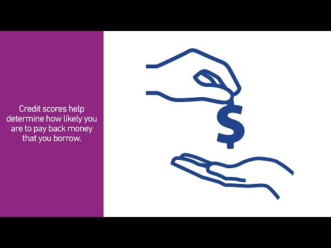 Understanding the Basics of Credit Scores | Experian Credit 101 Express