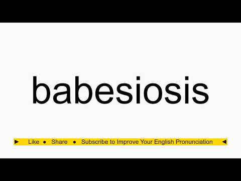 How to pronounce babesiosis